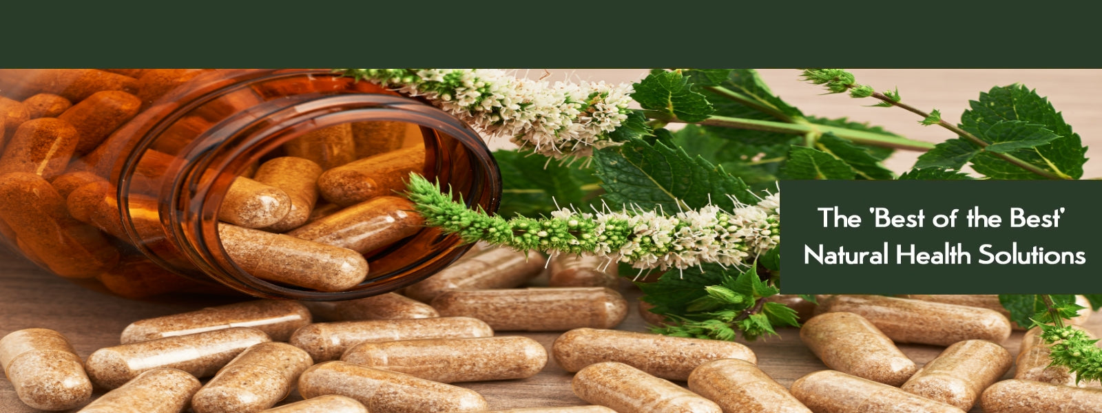 The Life Tree: Best-of-the-Best 100% Natural & Organic Health Products