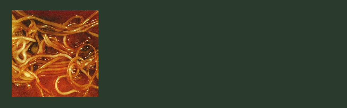 Parasite Gallery3 - TheLifeTree.com