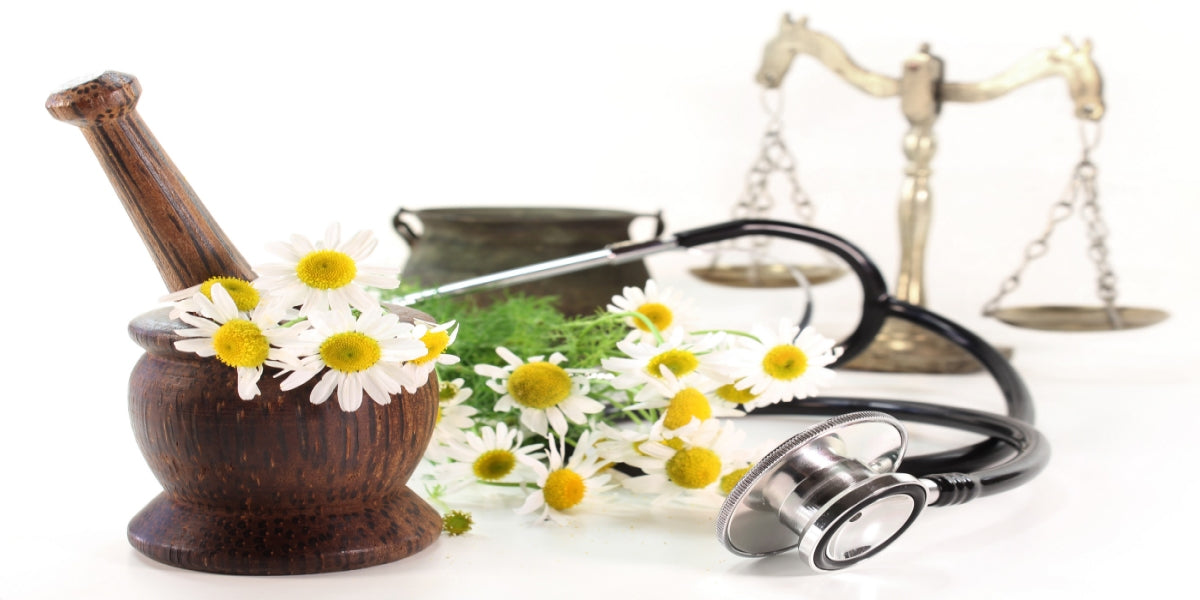 Herbal Remedy Products - TheLifeTree.com