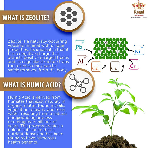 Zeolite-AV & Humic Acid - Heavy Metal Detox + Natural Immune Booster ...